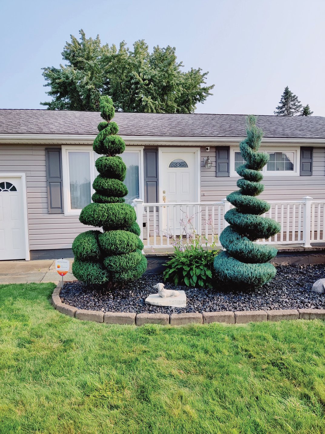 The Healing Art of Topiary