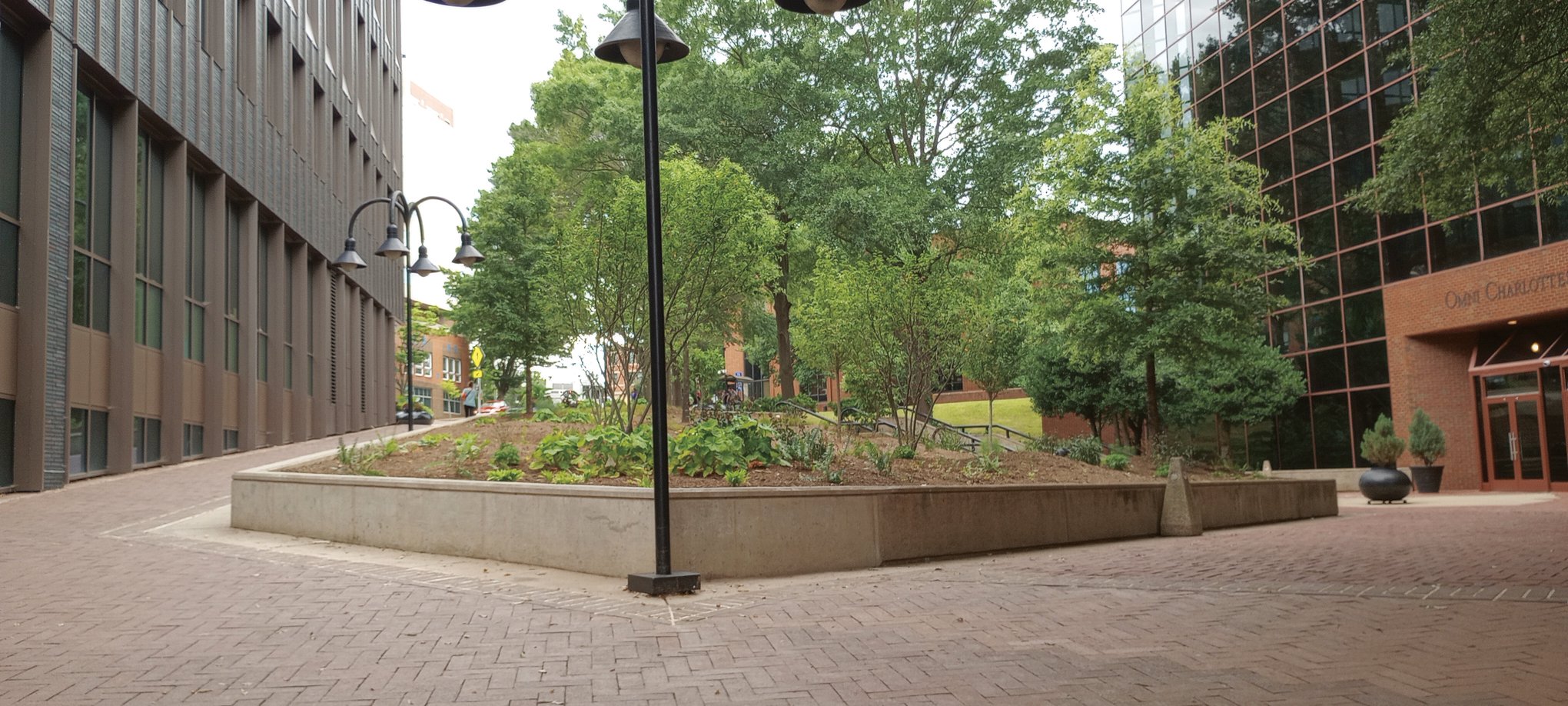 SYNKD Landscape Industry: Seeking Shade