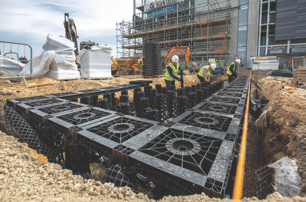 Urban Greening& Root Management