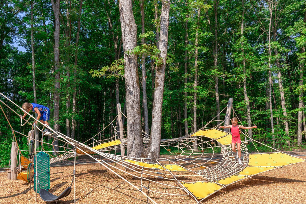 Play with Natural Elements